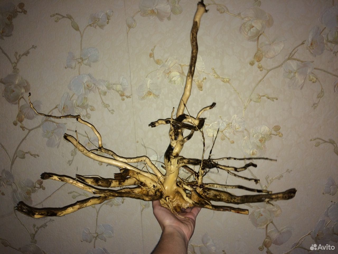 Коряга для аквариума