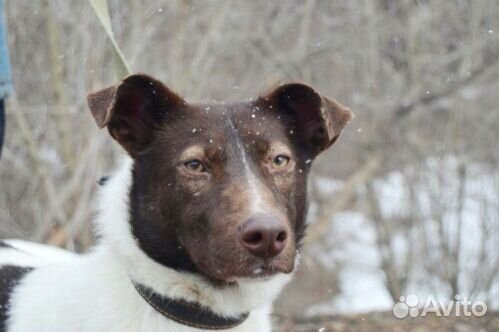 Мисс очарование Милка