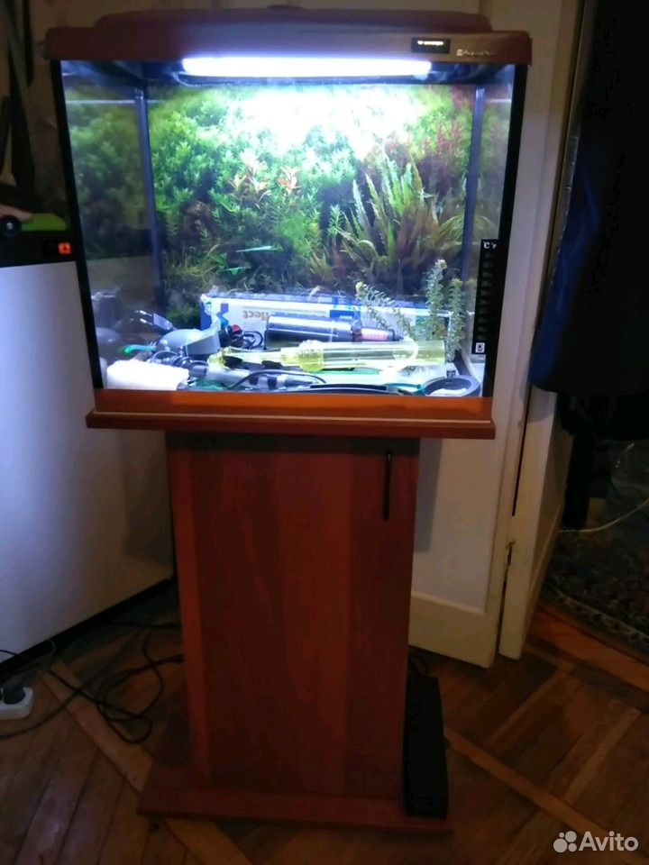 Аквариум+ тумба и весь фарш