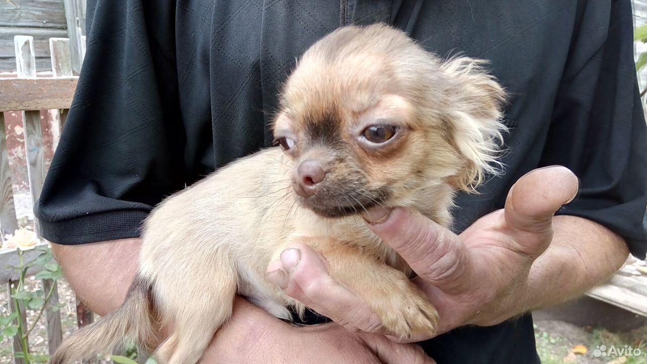 Мини мальчик красавчик