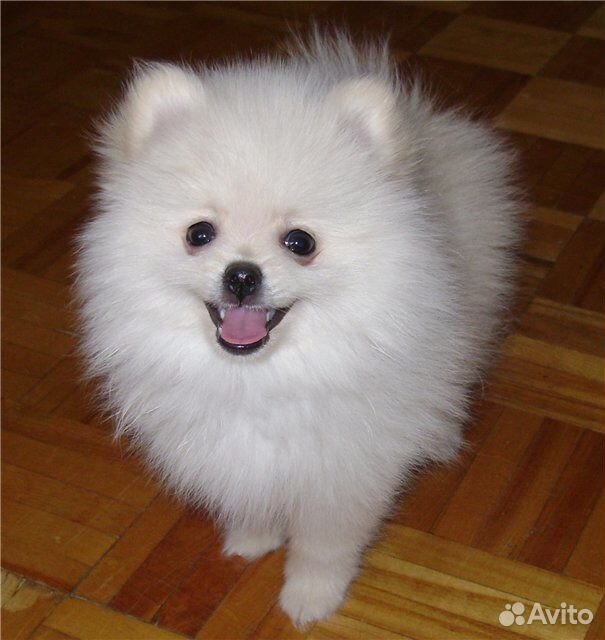 Мини Снежинка