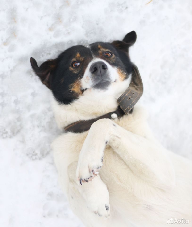 Обаятельная Мальвинка