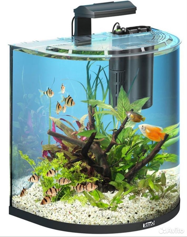 Tetra AquaArt 60 л со всеми комплектующими