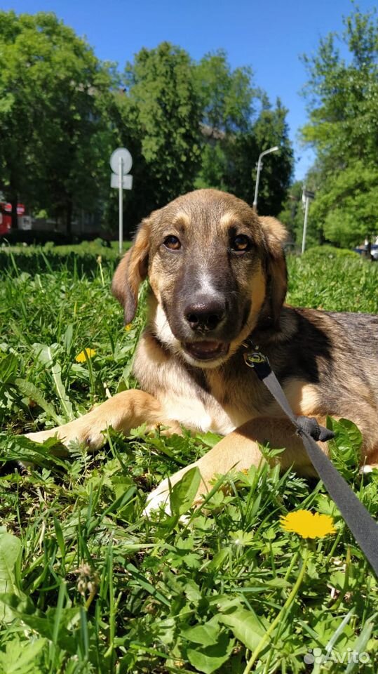 Красавчик Рэй