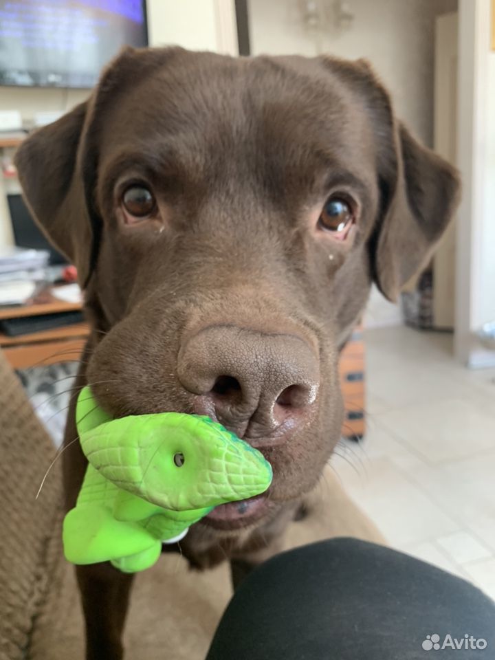 Парень ищет подругу