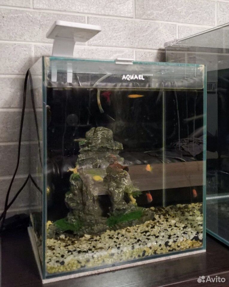 Аквариум aquael 30 l