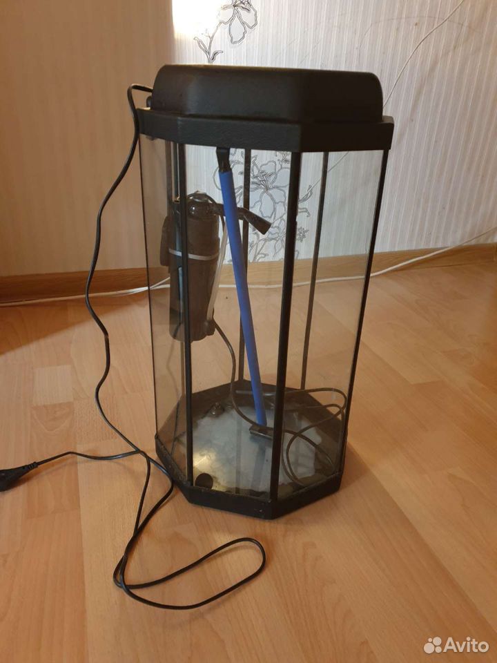 Аквариум