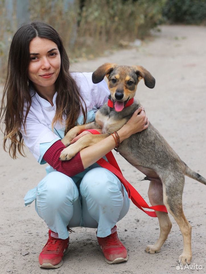 Ушастый мальчишка Тёма