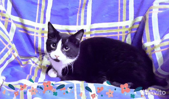 Жемчуженка