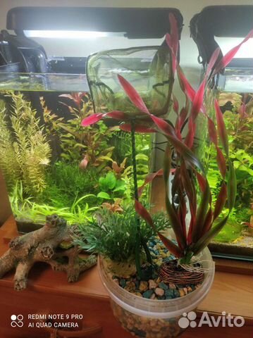 Аксессуары