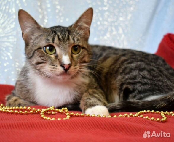 В добрые,заботливые руки мальчик Платон - 9 месяце