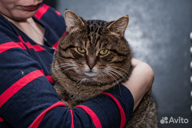 Брутальный котик Сережа