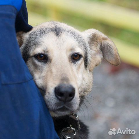 Разве я не заслужила капельку любви