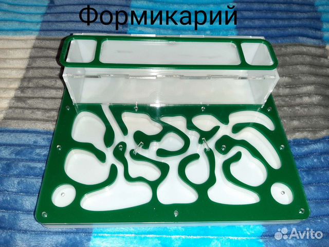 Формикарий, муравьиная ферма, колония жнецов