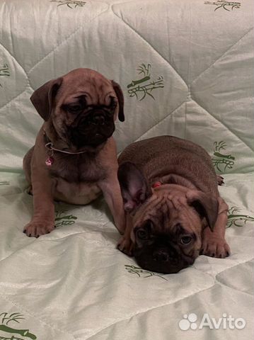 Супер Француженки