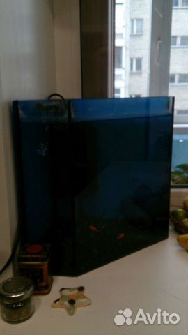 Аквариум и рыбки