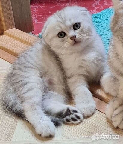 Очаровательный малыш