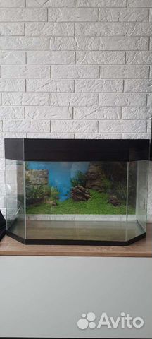 Аквариум со всем необходимым