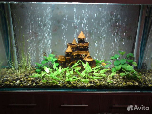 Аквариум