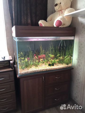Аквариум с тумбой 300 литров