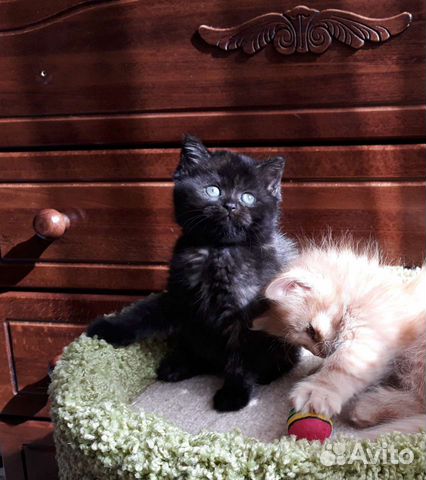 Эффектная девочка