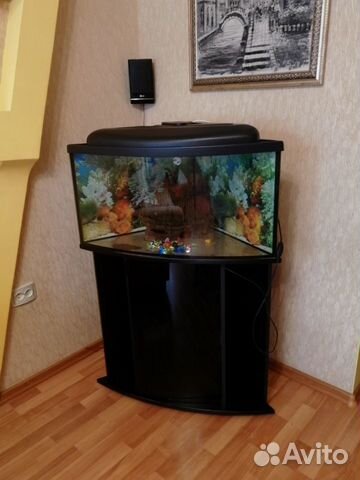 Аквариум угловой с тумбой