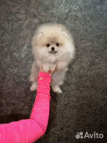 Очаровательный пупс