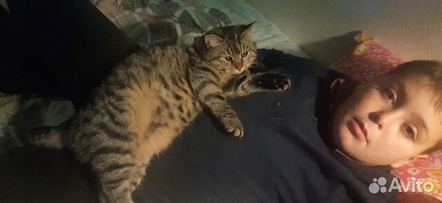 Толстый Везунчик, около 5 месяцев