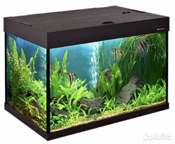 Аквариум aqua plus 170 литров