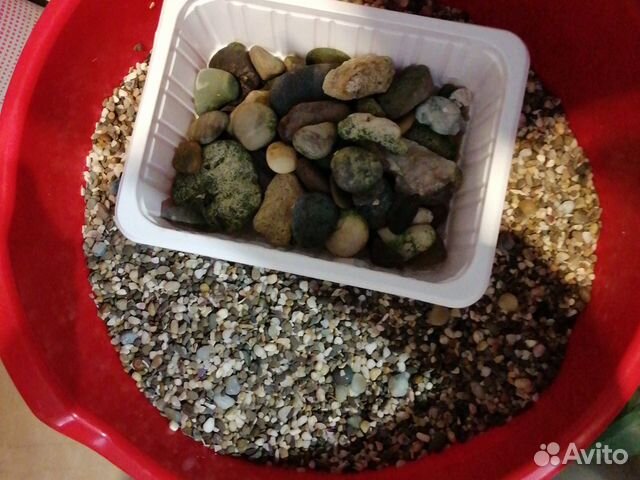 Начинающему аквариумисту