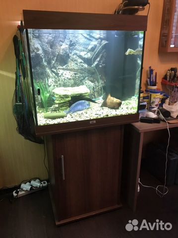 Аквариум juwel lido 200