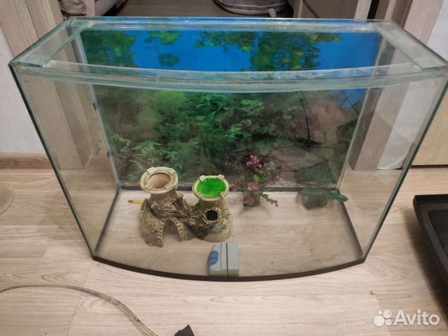 Аквариум 60л + полный набор
