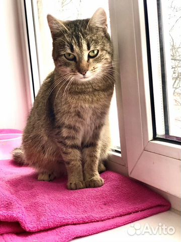 Малышка Лизонька замерзает на улице