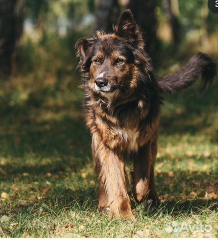Мудрая спокойная Герда