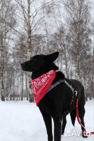 Манюня очень хочет домой