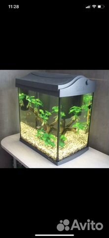 Аквариум на 30 лит.Tetra