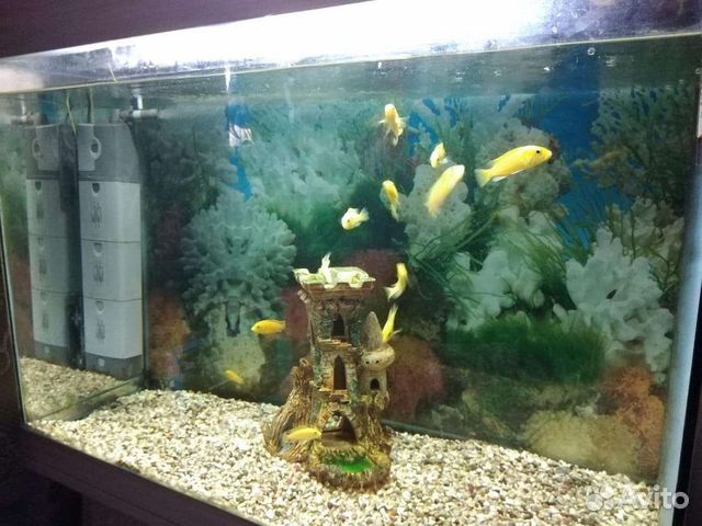 Аквариум 180 литров