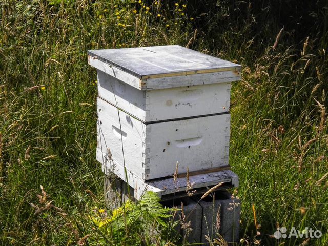 Улей для пчел