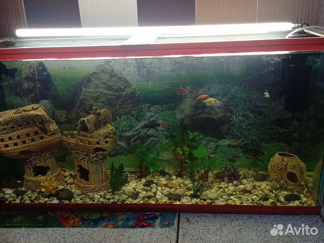 Аквариум с рыбками и всем комплектующим