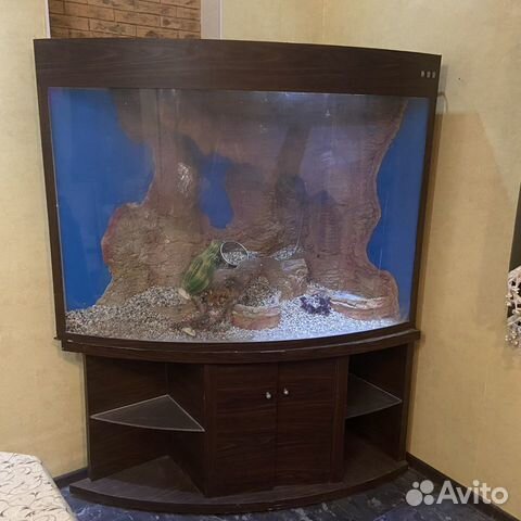 Акриловый аквариум 500 литров