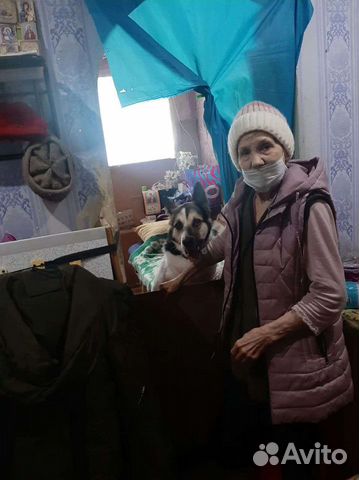 Бабушкин песик Бимка