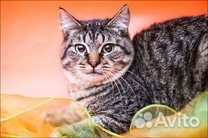 Сокровище в ответственные руки