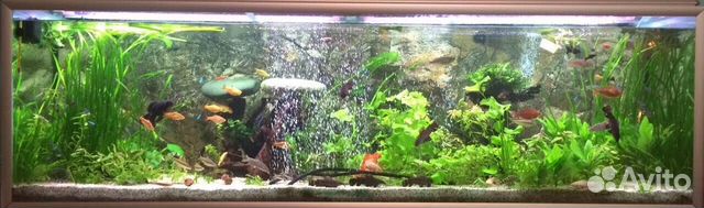 Аквакомплекс Akvastabil Effect-line AS-200