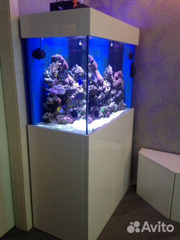 Морской аквариум