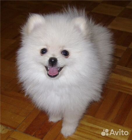 Мини Снежинка