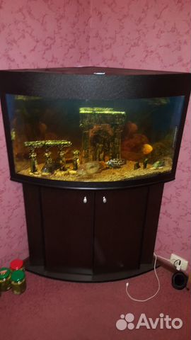 Продаю аквариум