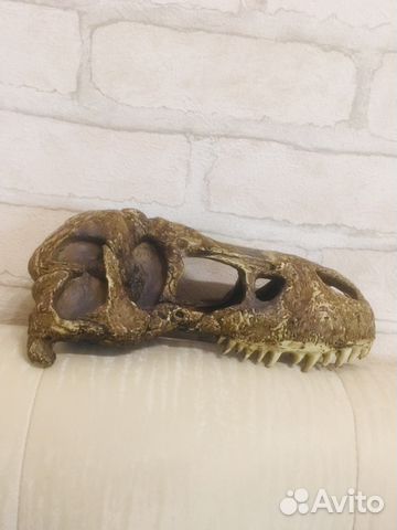 Череп для террариума. Украшение или укрытие