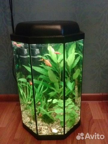 Аквариум восьмигранный 100л