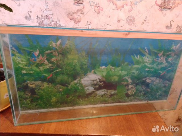 Аквариум