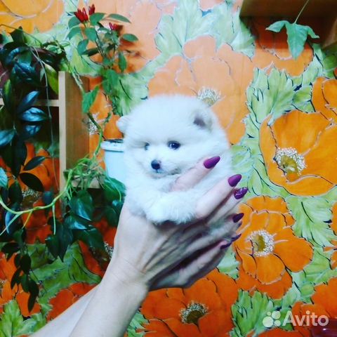 Малютки девочки и мальчики
